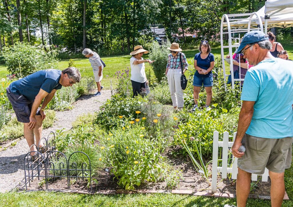“Fridays in the Garden” Return to Brookside Museum - Saratoga County ...