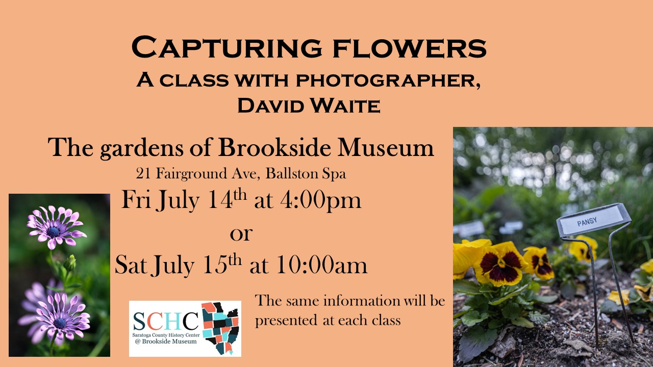 Capturing Flowers: A Class with Photographer David Waite - Saratoga ...