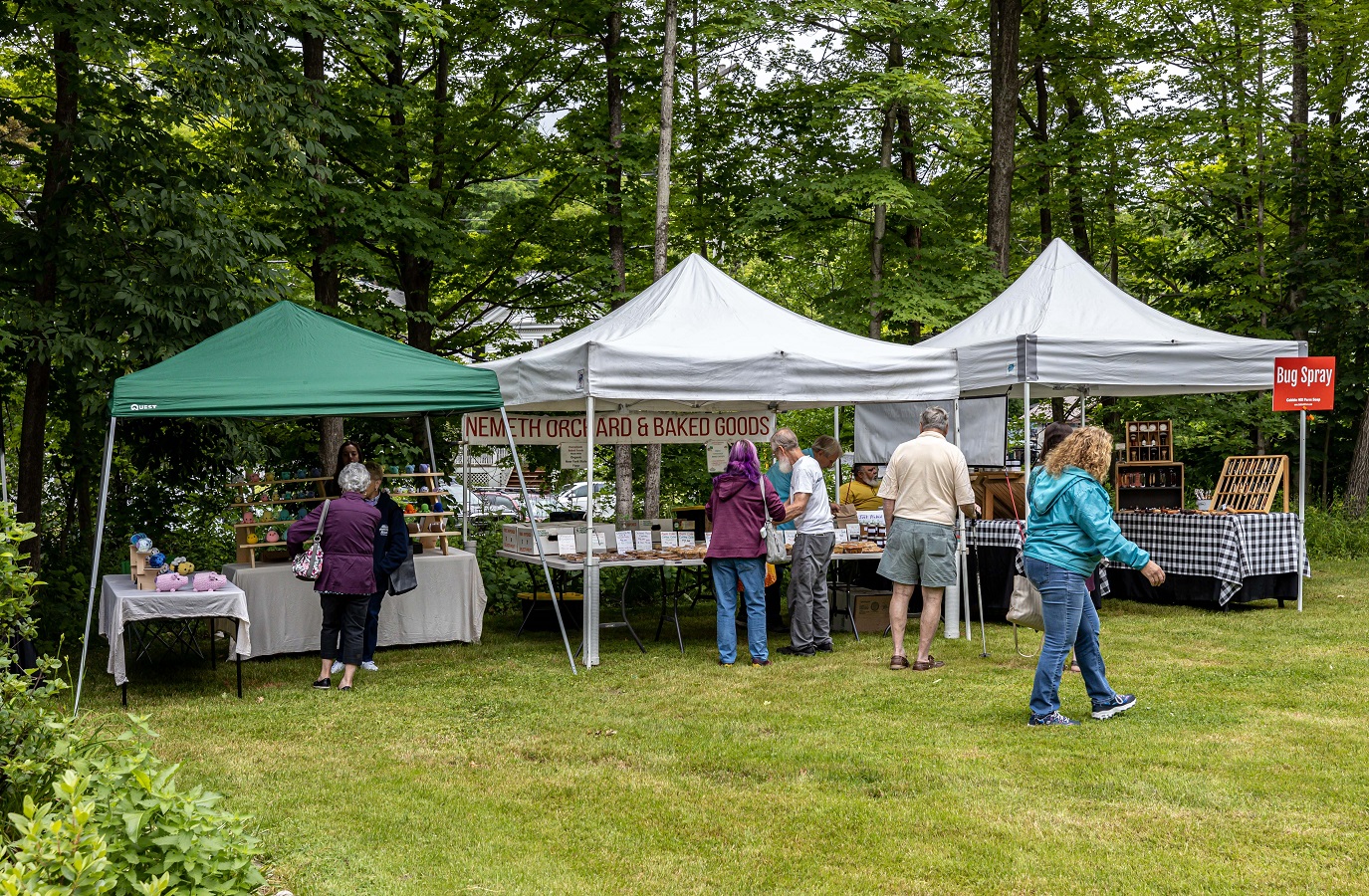 Craft Fair at Brookside Museum June 24th - Saratoga County History Center